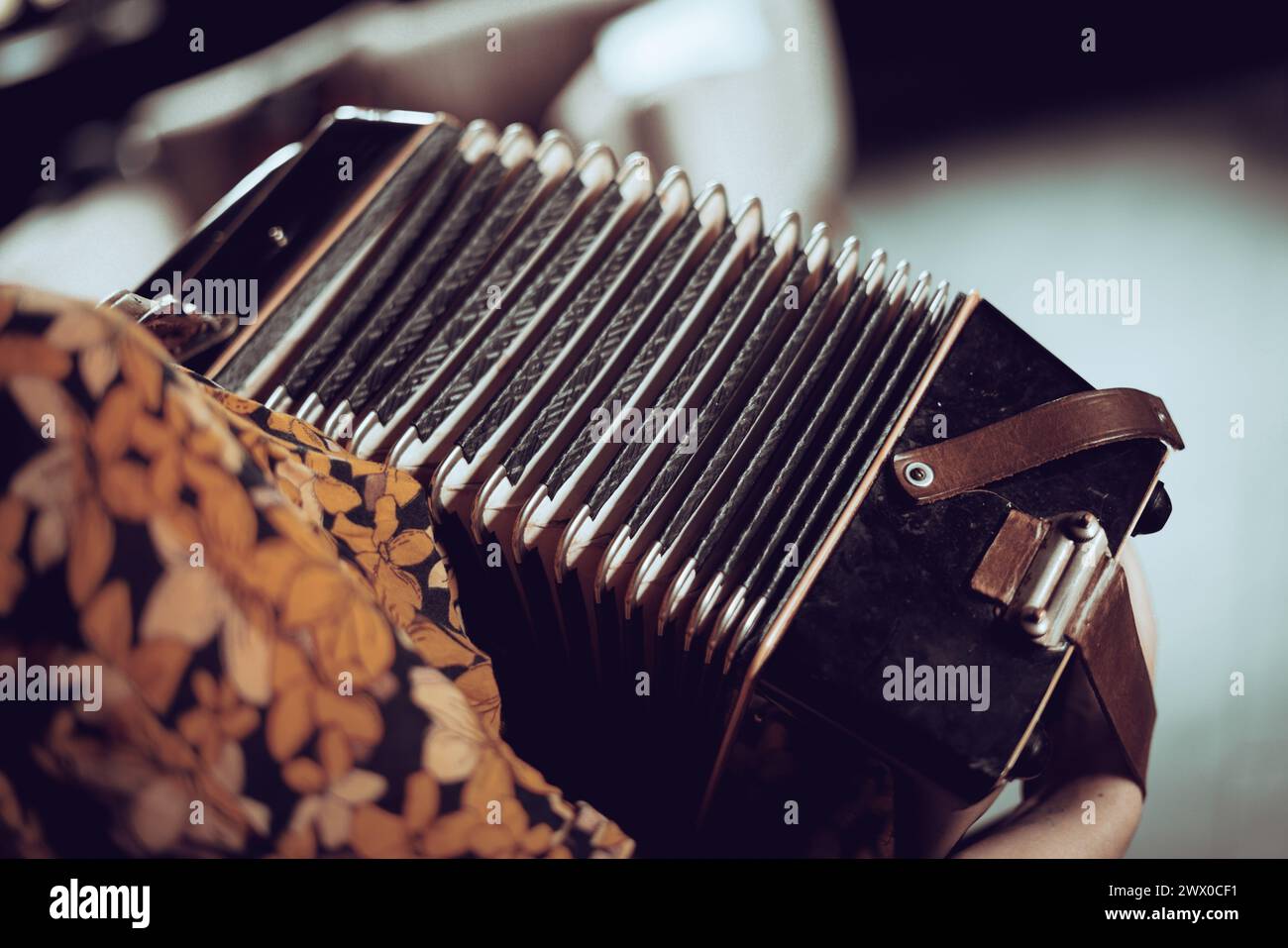 Woman accordion play music hi-res stock photography and images - Alamy