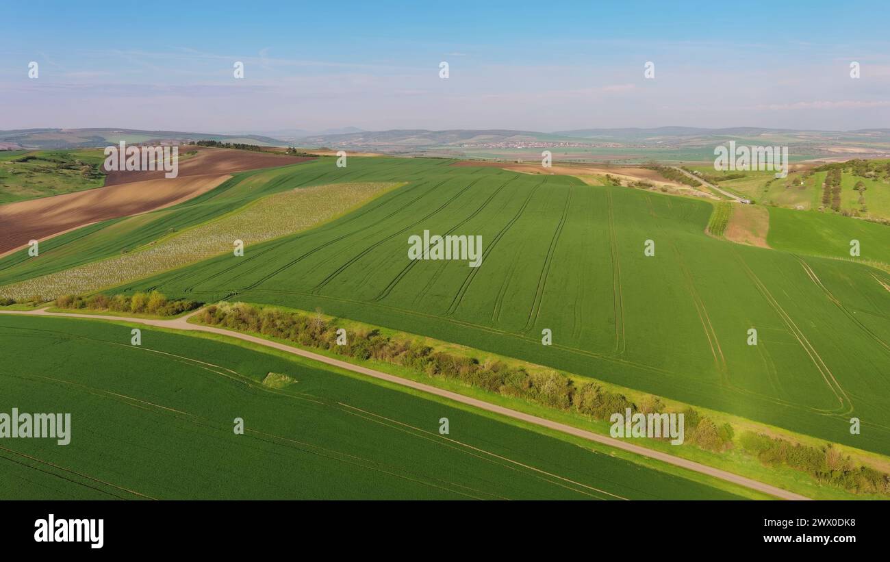 Green wavy hills with agricultural fields Stock Photo - Alamy