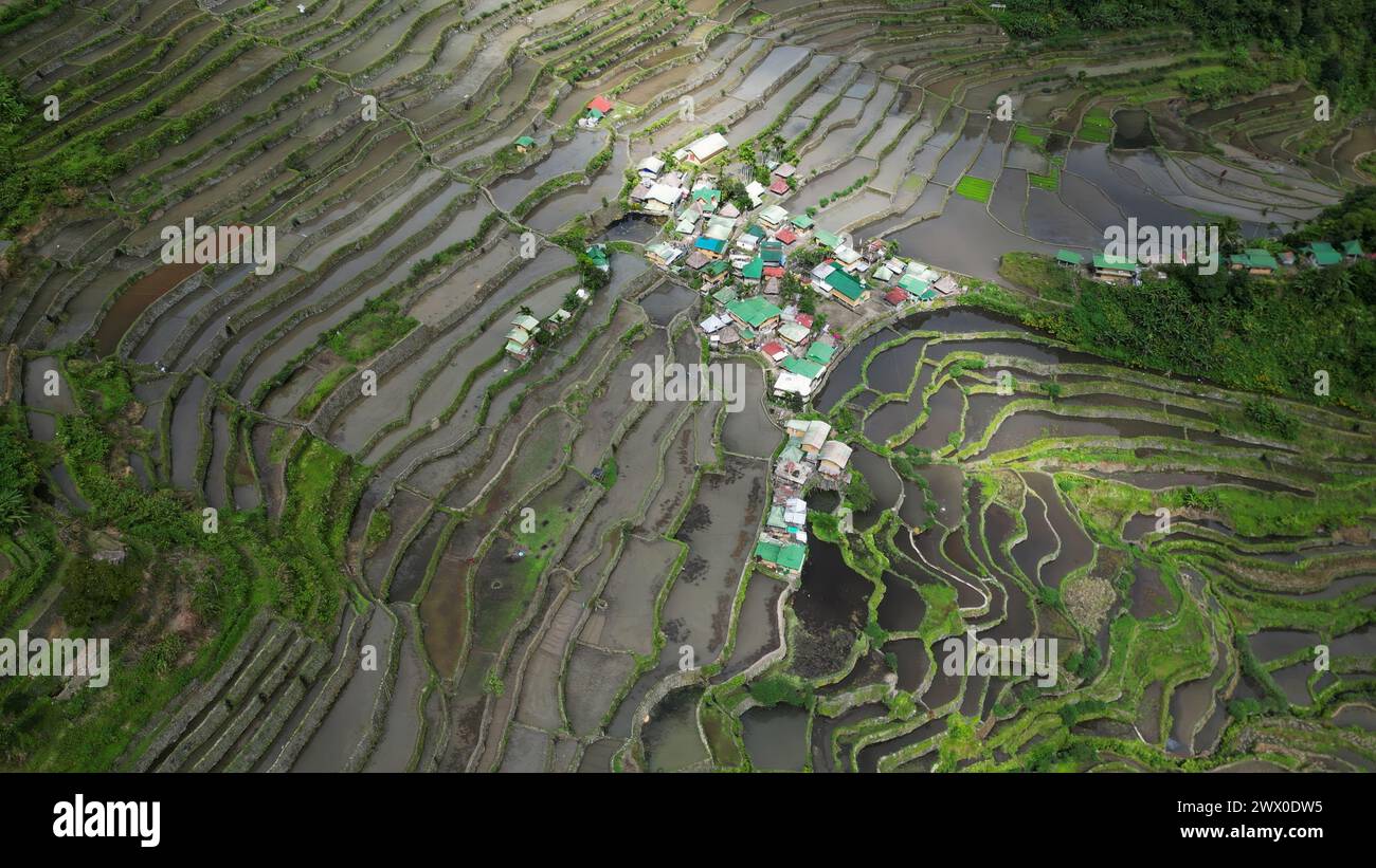 Batad Rice Terraces in Philippines Stock Photo - Alamy