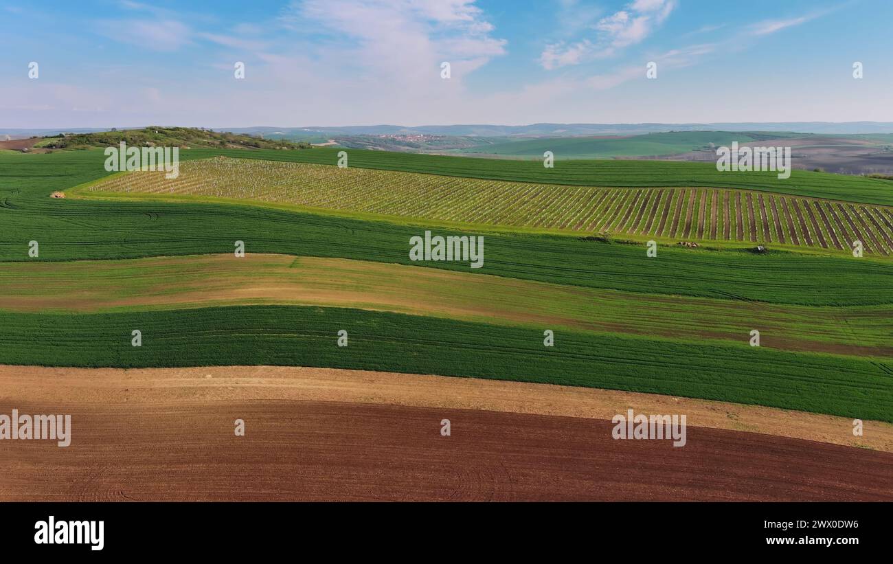 Green wavy hills with agricultural fields Stock Photo - Alamy