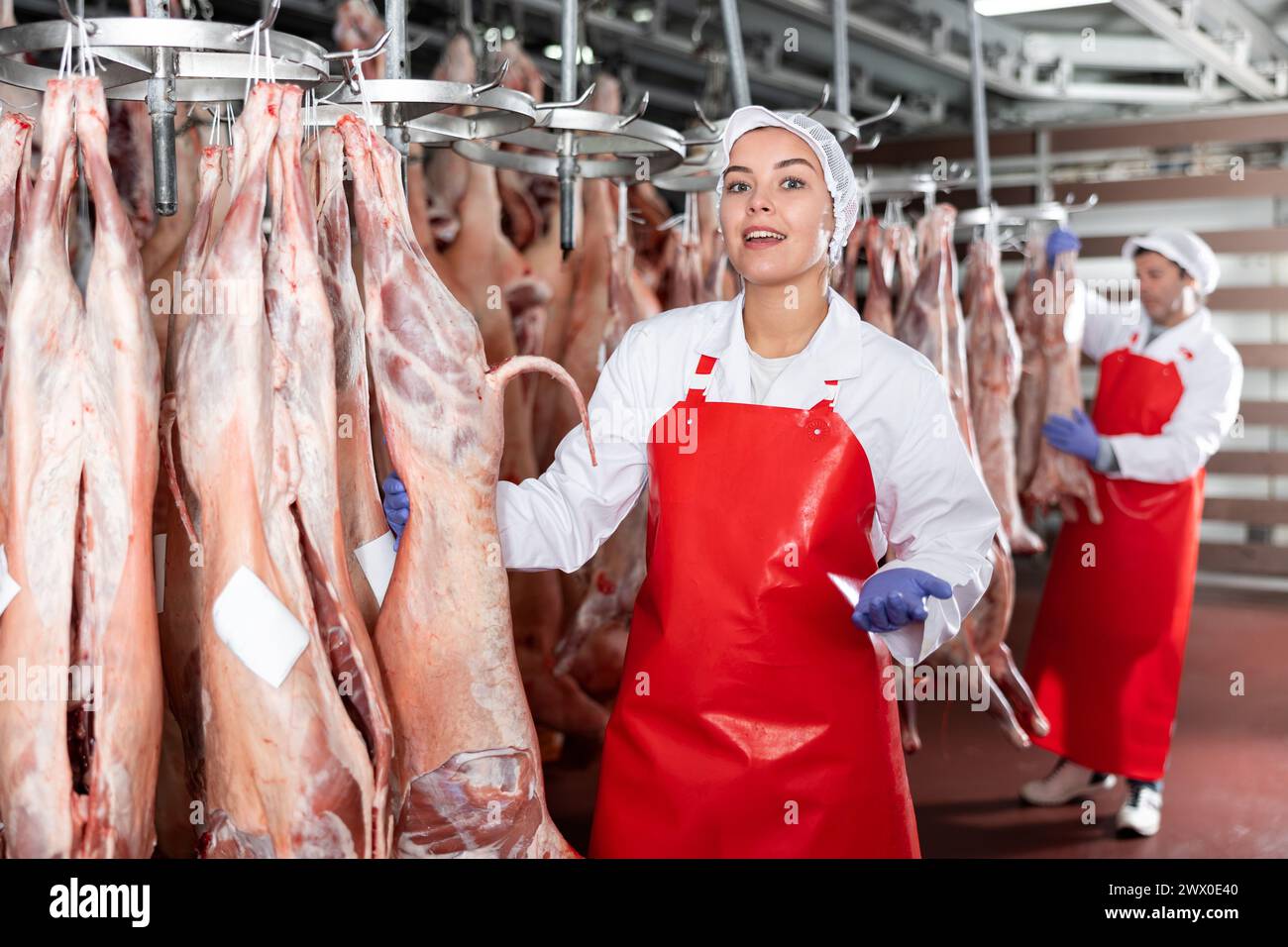 Female slaughterhouse worker showing mutton carcass in meat storage ...