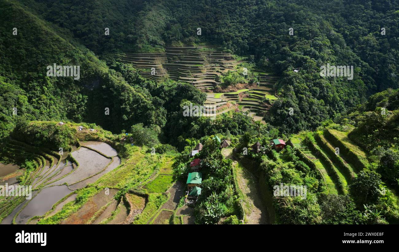 Batad Rice Terraces in Philippines Stock Photo - Alamy