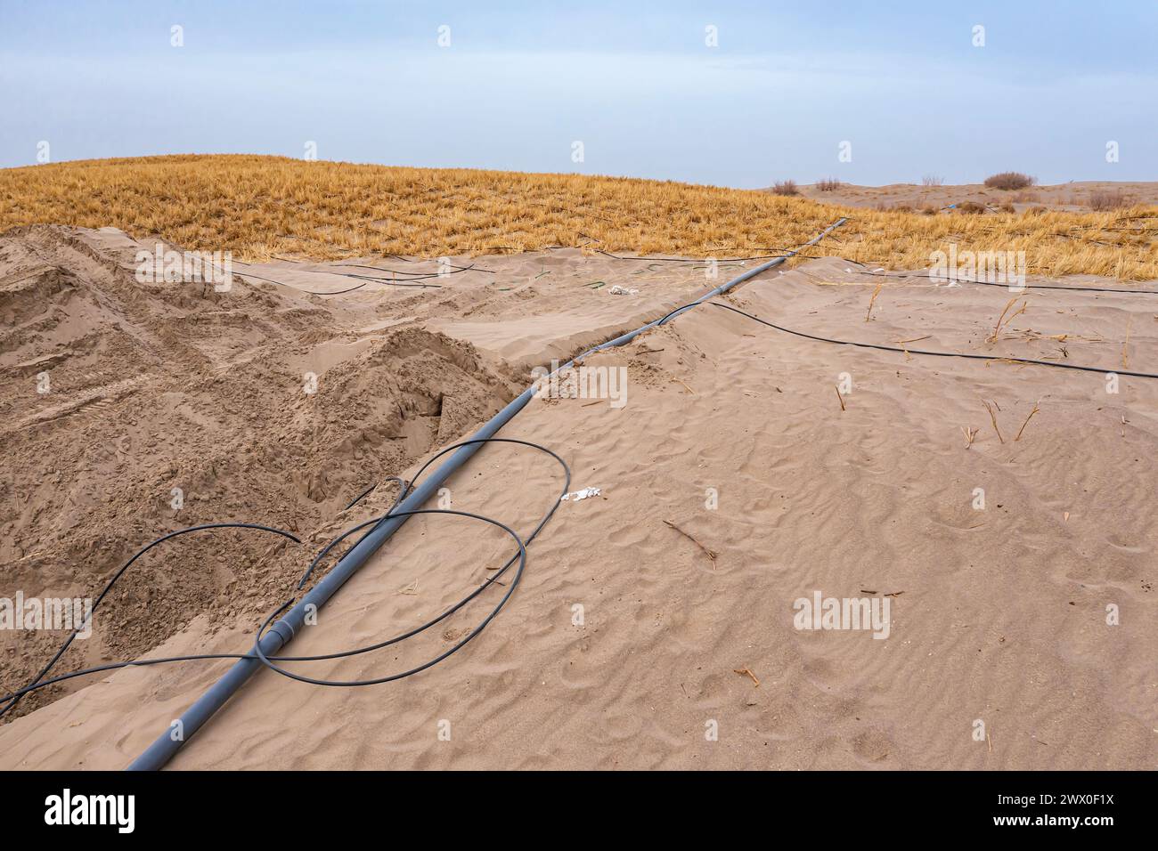 JIUQUAN, CHINA - MARCH 22, 2024 - Construction workers plant straw sand ...