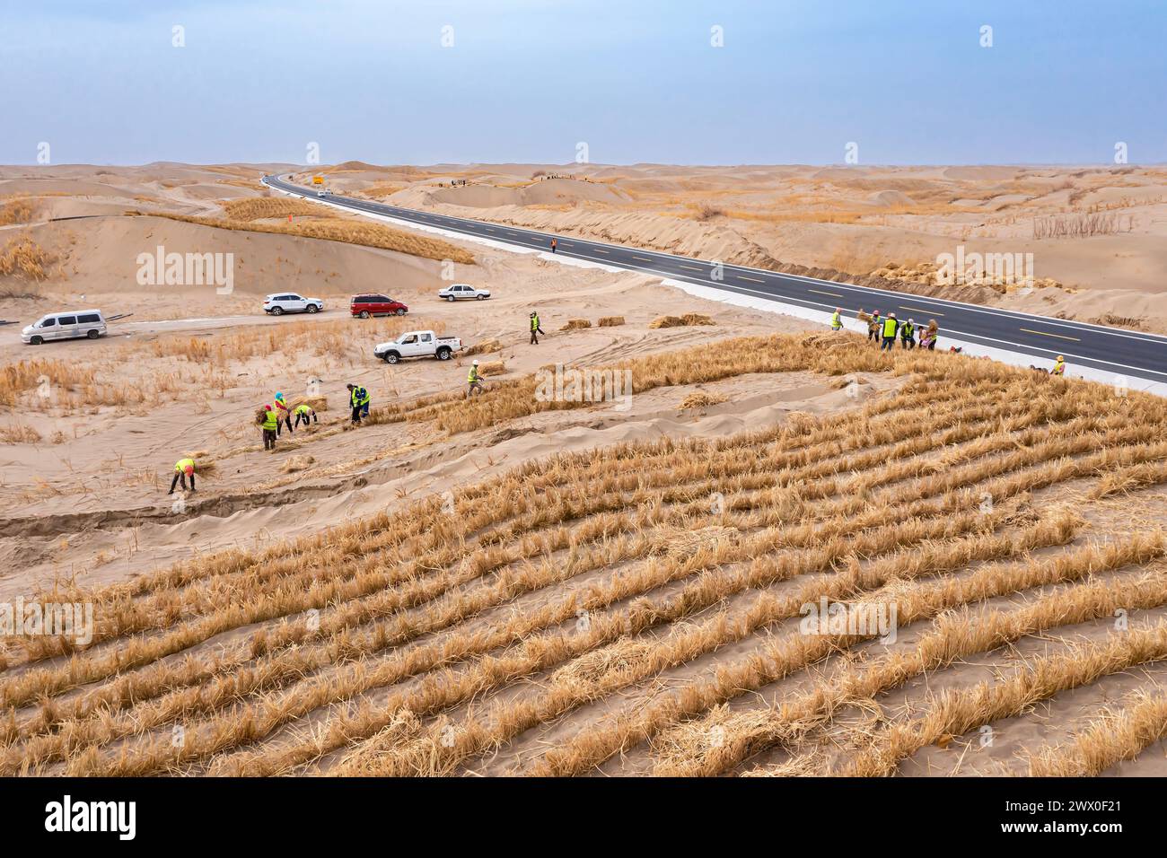 JIUQUAN, CHINA - MARCH 22, 2024 - Construction workers plant straw sand ...