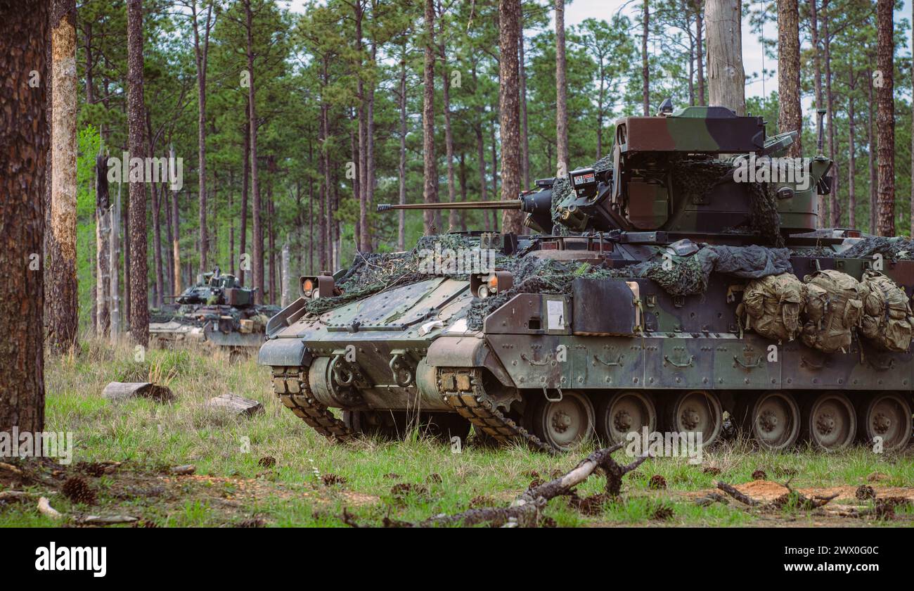 Light armored infantry units assigned to 3rd Battalion, 69th Armor ...