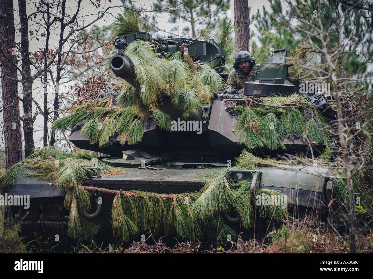 A Soldier assigned to 3rd Battalion, 69th Armor Regiment, 1st Armored ...
