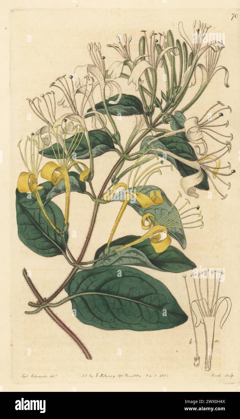 Captain james pendergrass hi-res stock photography and images - Alamy