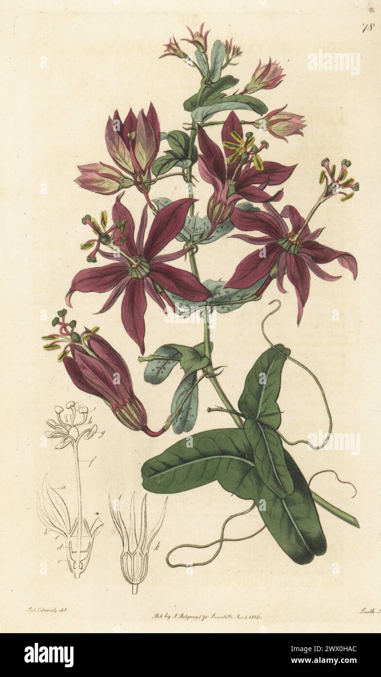 Lord tankervilles garden hi-res stock photography and images - Alamy