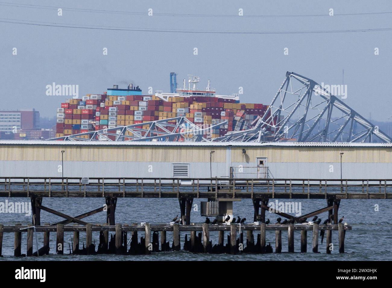 The Dali shipping container vessel is seen the ruins of Francis Scott ...