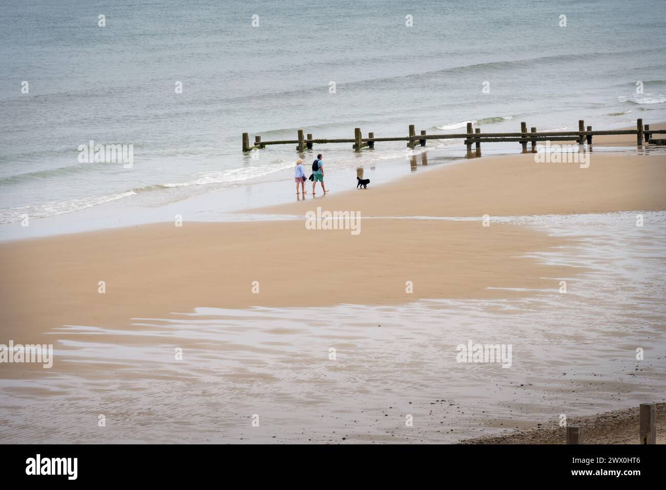Norfolk beach dog hi-res stock photography and images - Alamy