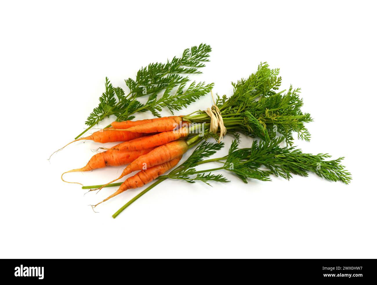 carrots isolated on white background Stock Photo - Alamy