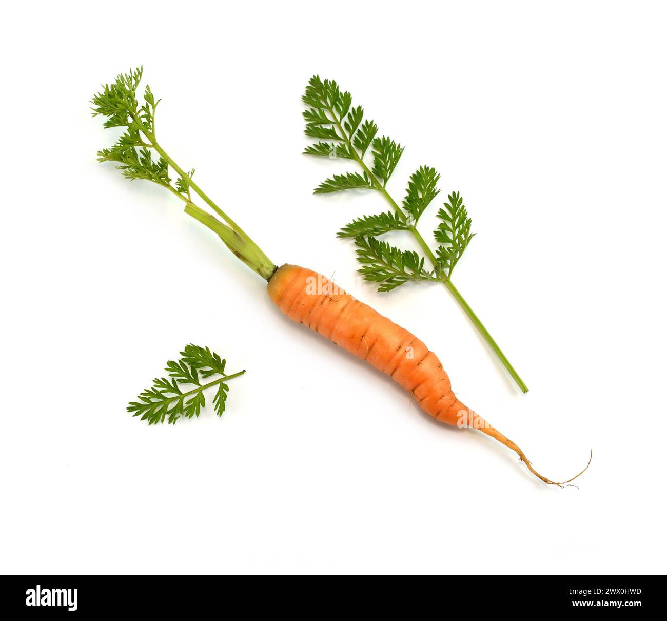 carrots isolated on white background Stock Photo - Alamy
