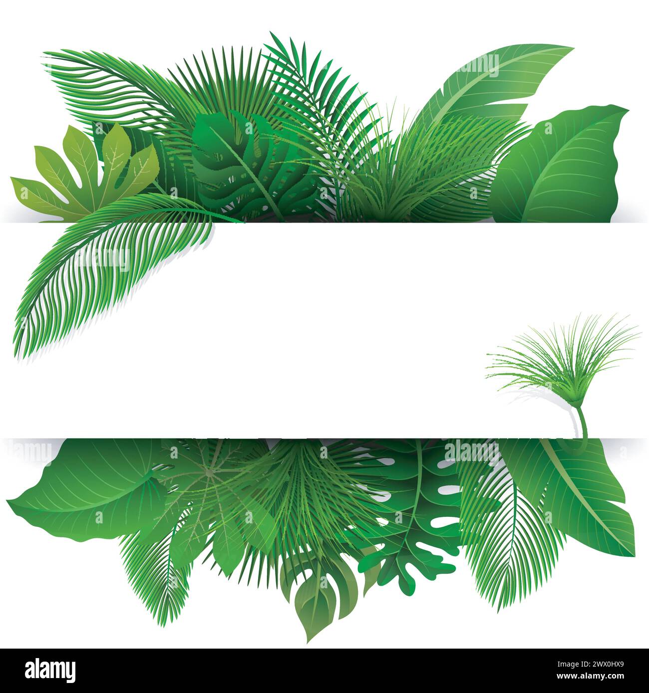 Sign with Text Space of Tropical Leaves. Suitable For Nature Concept ...