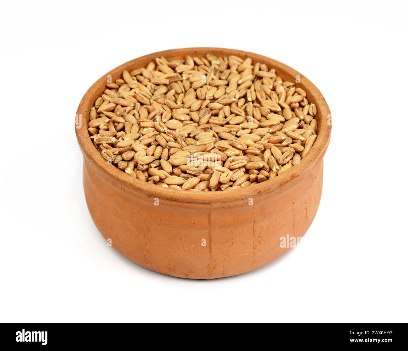 spelt grain in a bowl isolated on white background Stock Photo - Alamy