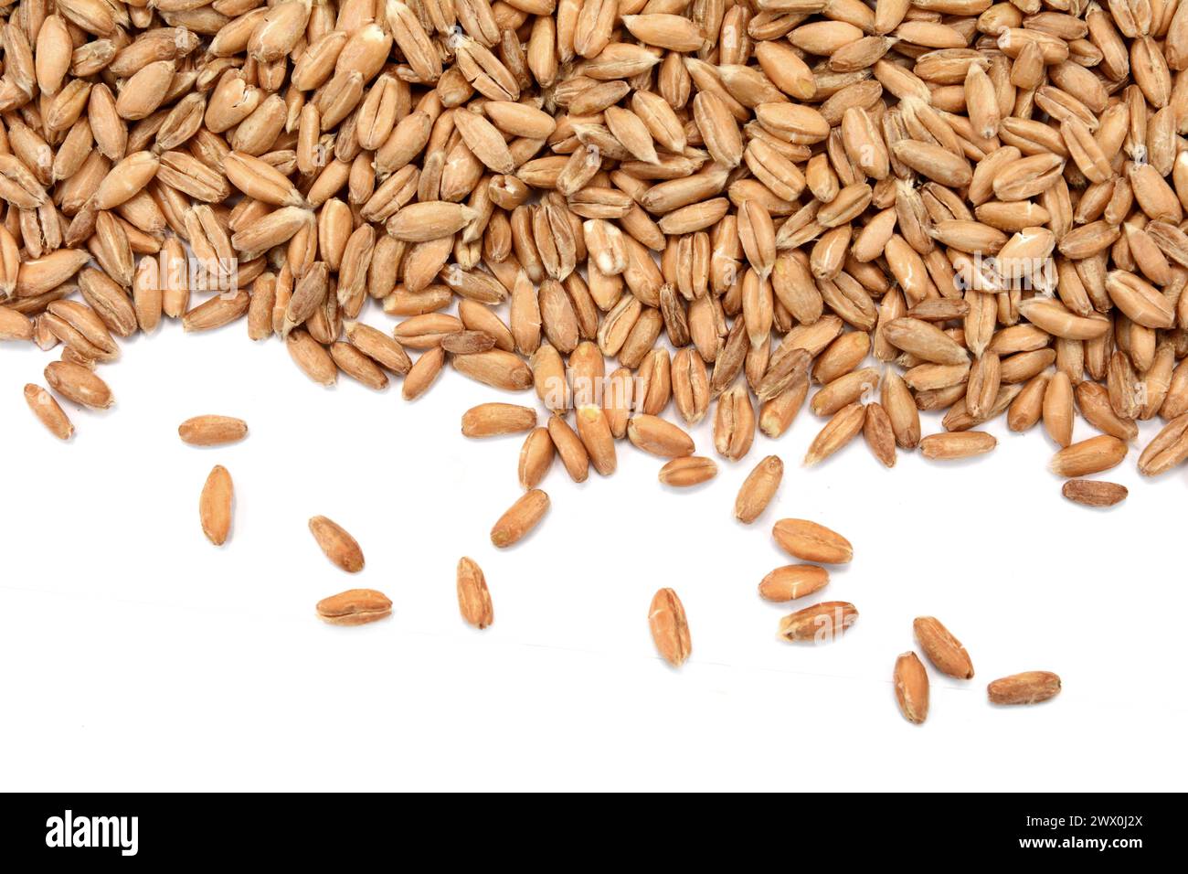 spelt grain isolated on white background Stock Photo - Alamy