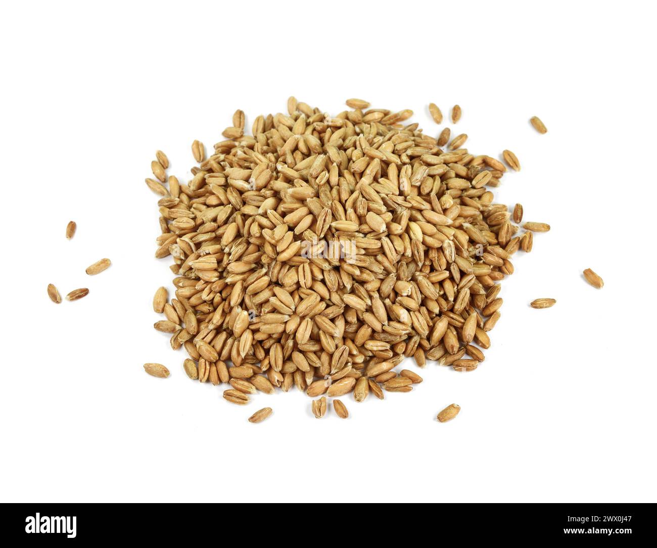 Emmer grain Cut Out Stock Images & Pictures - Alamy