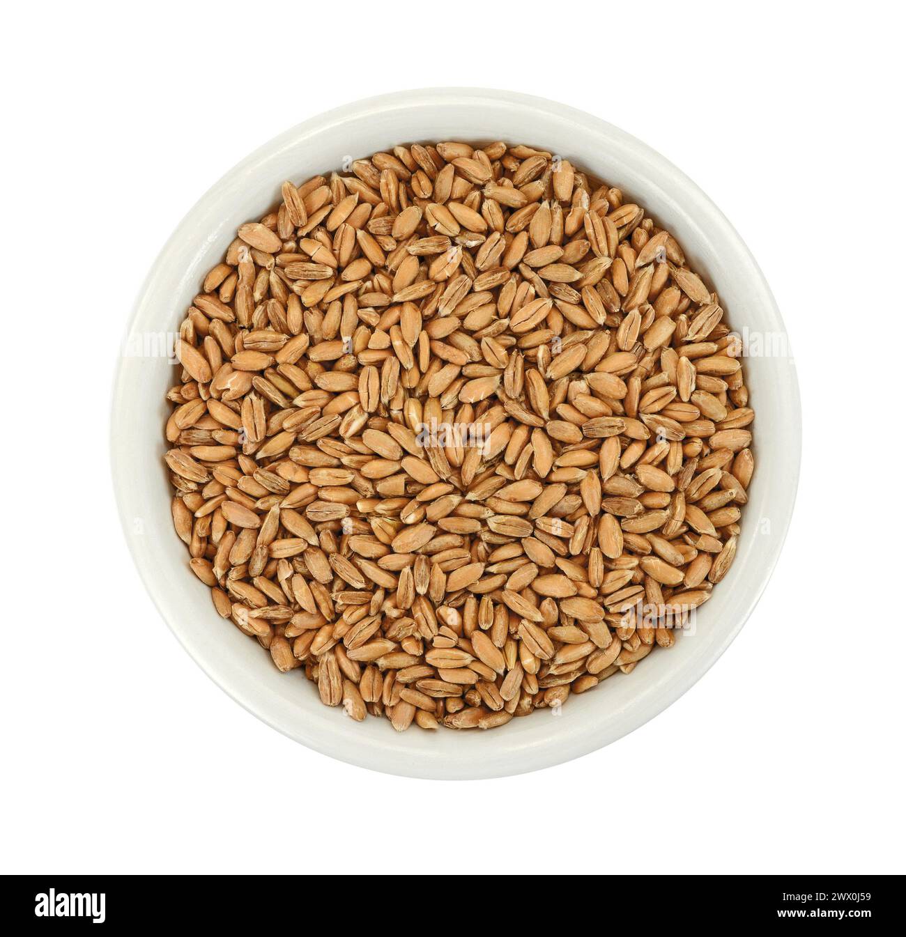 spelt grain in a bowl isolated on white background Stock Photo - Alamy