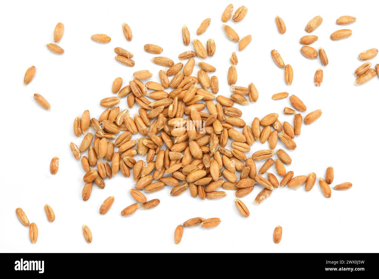 Emmer grain Cut Out Stock Images & Pictures - Alamy