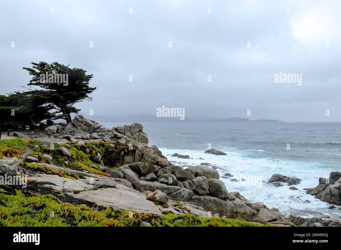 The ghost trees at Pescadero Point Pebble beach, California on a rainy ...