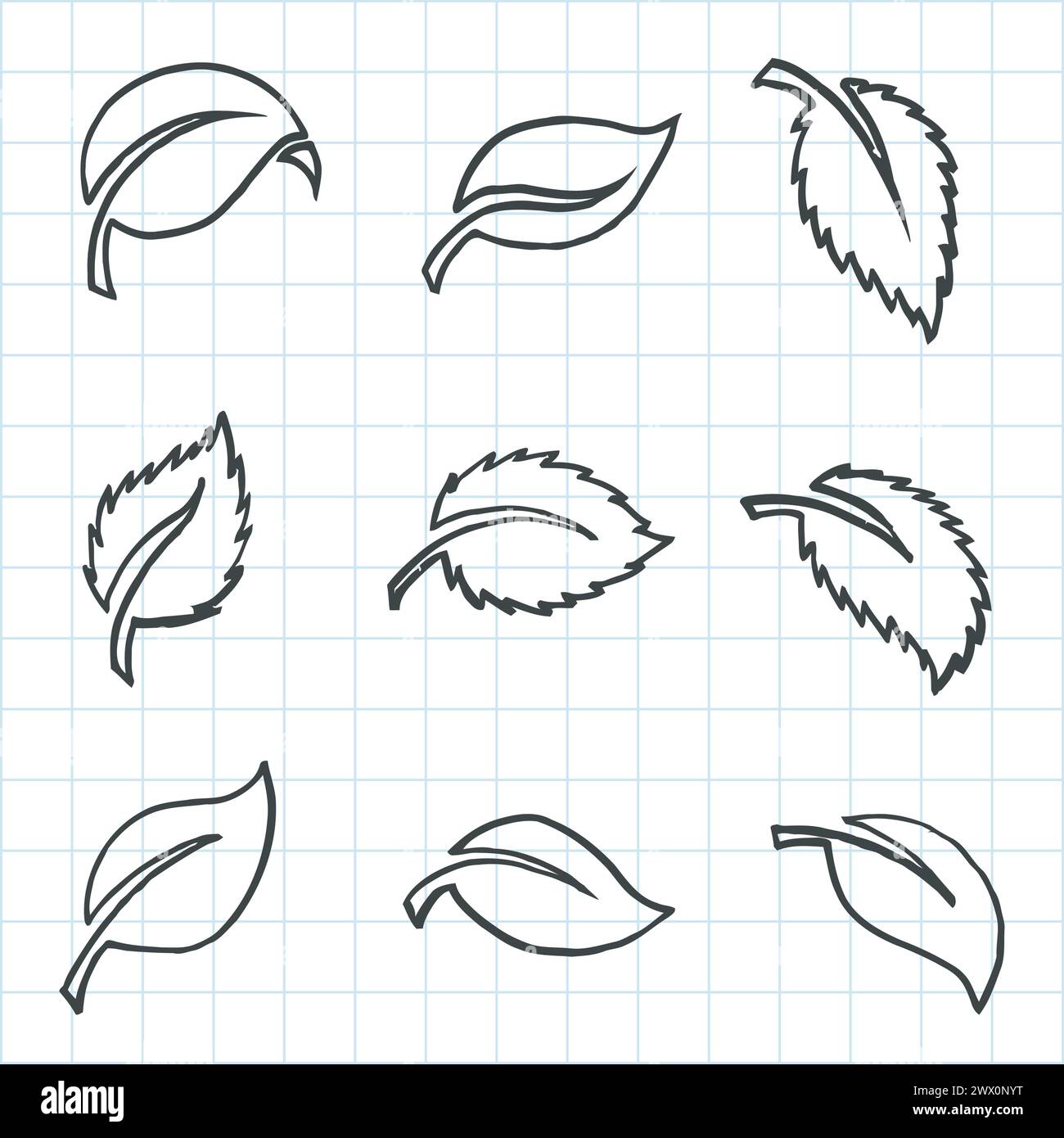 Artistic Collection of Hand Drawn Leaves Set. Isolated and Real Pen ...