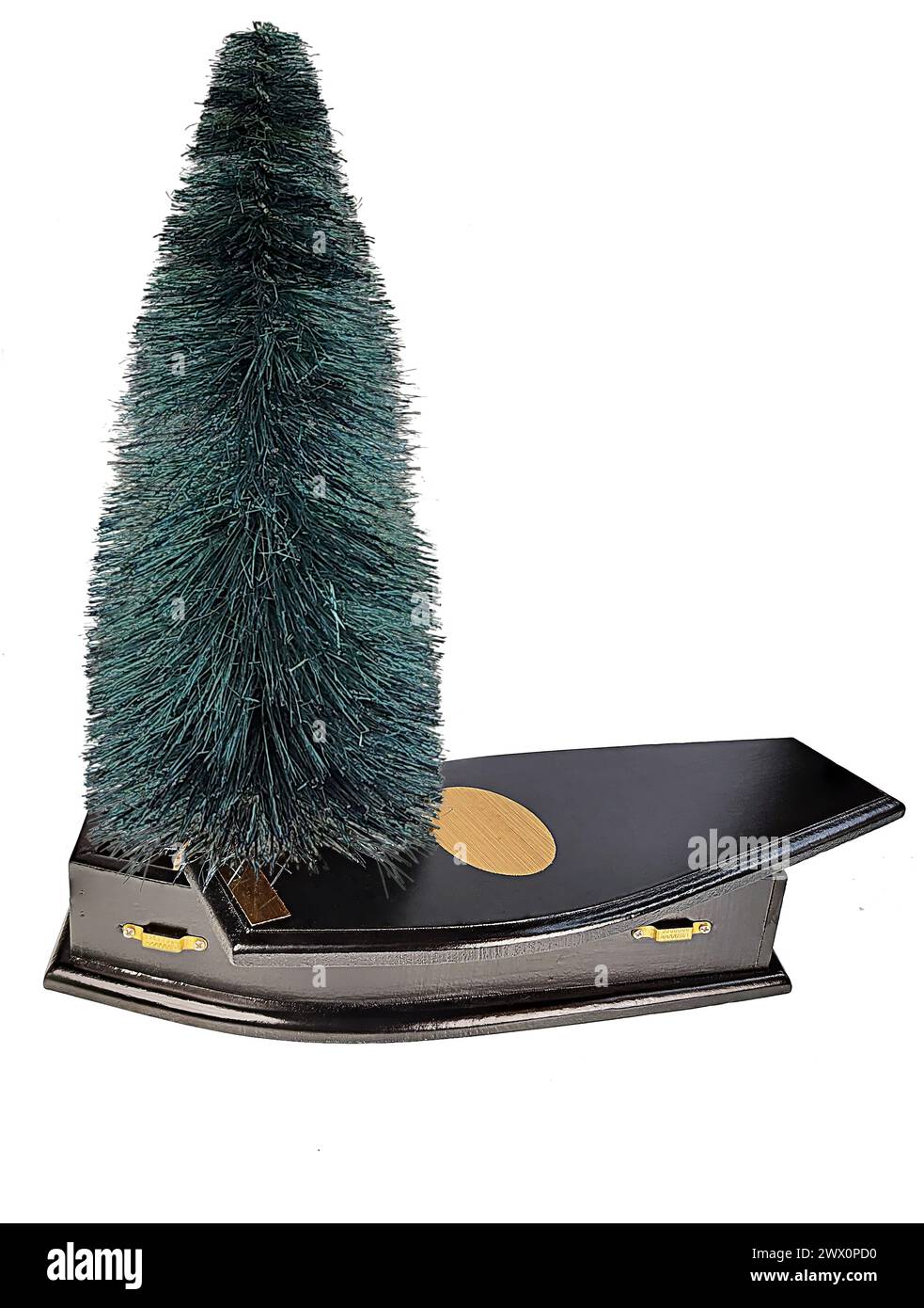 Tree in a Black Wooden Coffin to show alternative burial options for ...