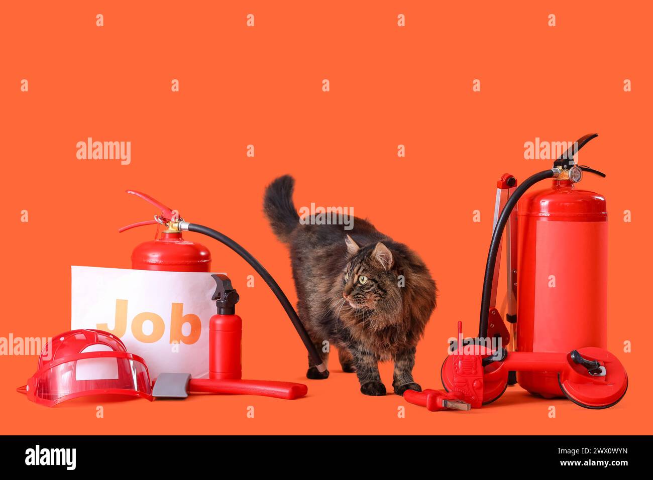 Firefighter's equipment, extinguishers and cute cat on color background ...