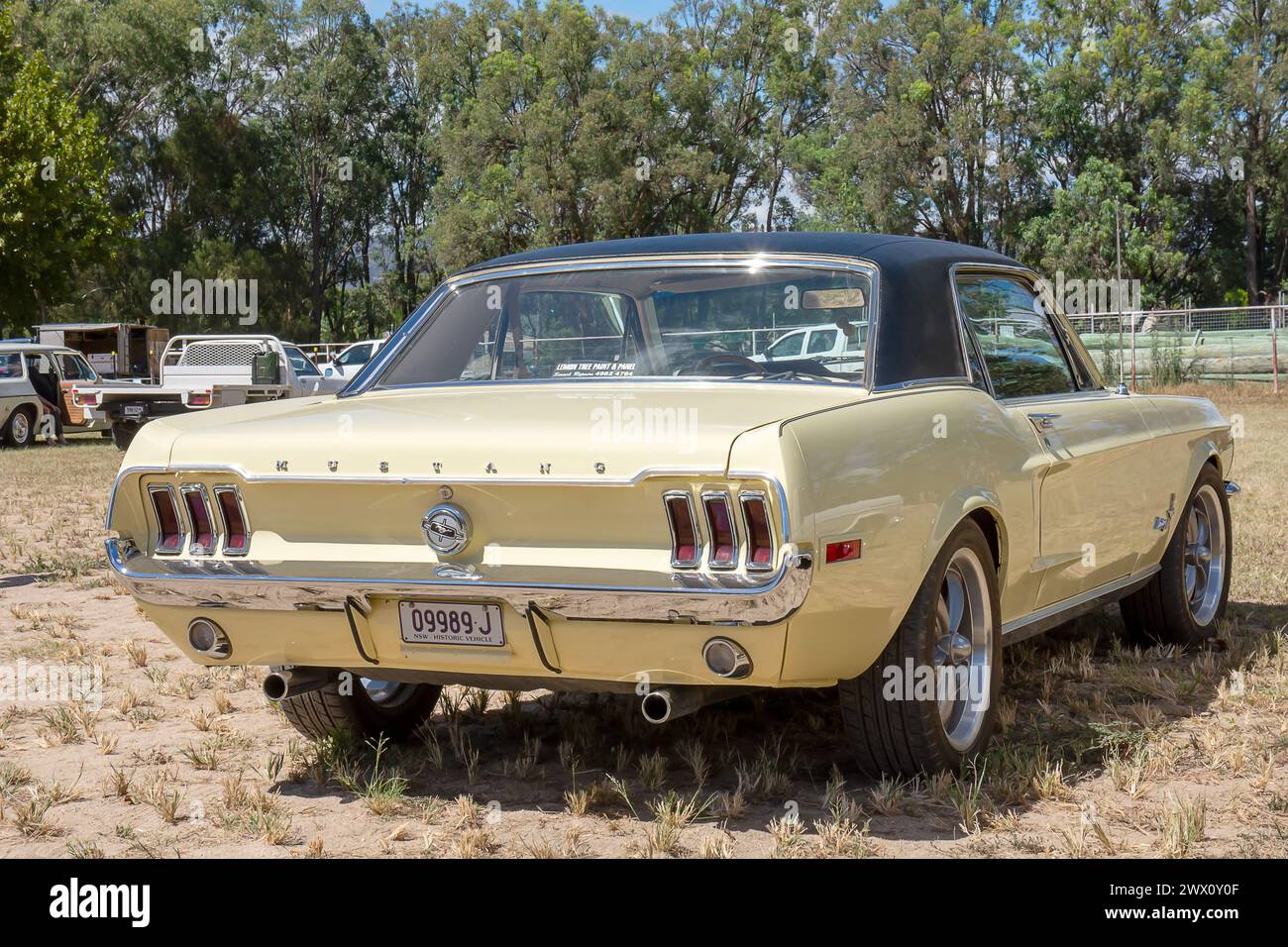 Rear view of a white 1970s Ford Mustang coupe Stock Photo - Alamy