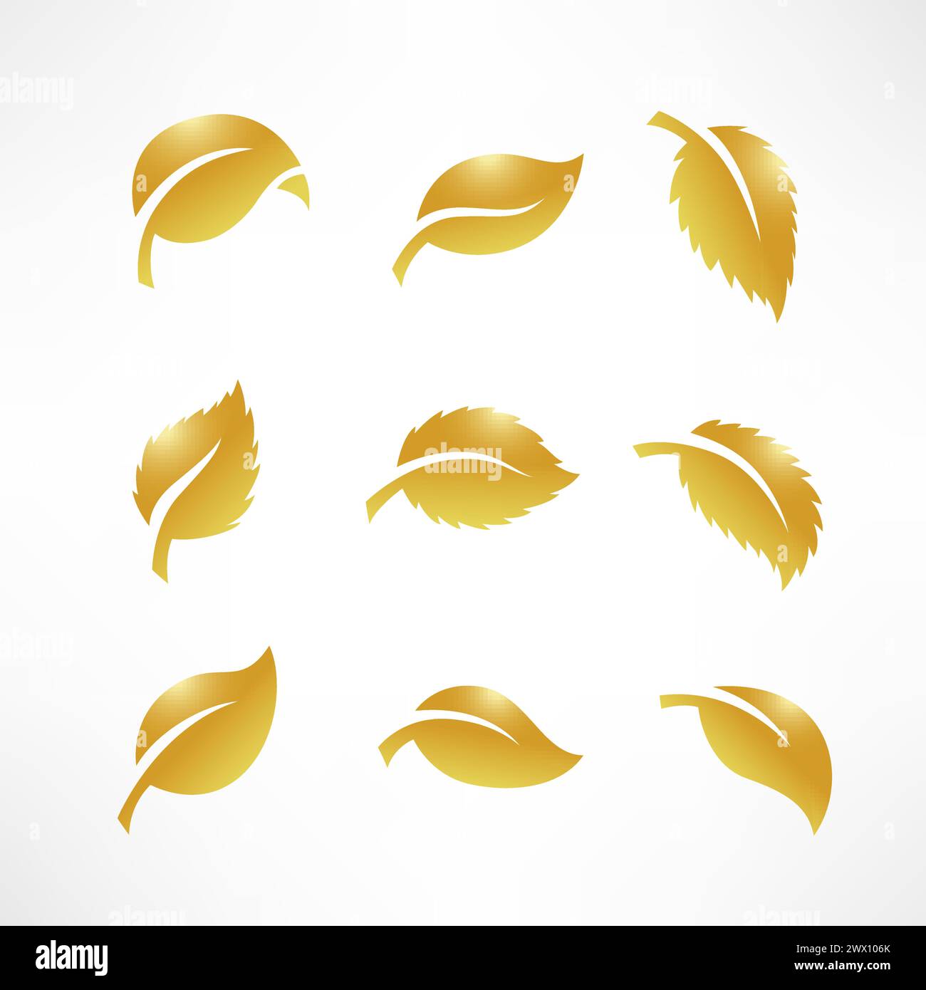 Artistic Collection of Gold Leaves Set, Vector Illustration Stock ...