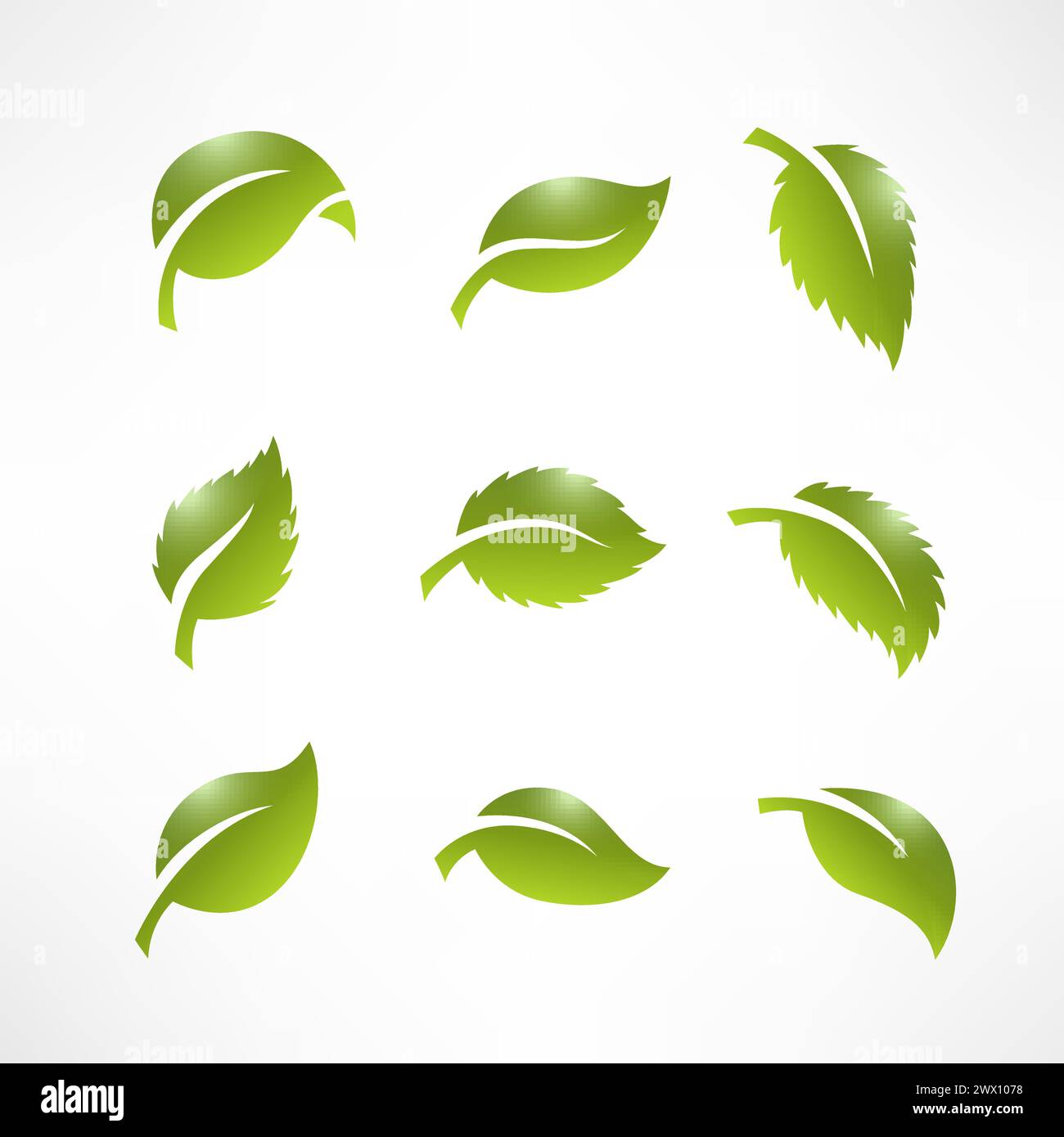 Artistic Collection of Green Leaves Set, Vector Illustration Stock ...
