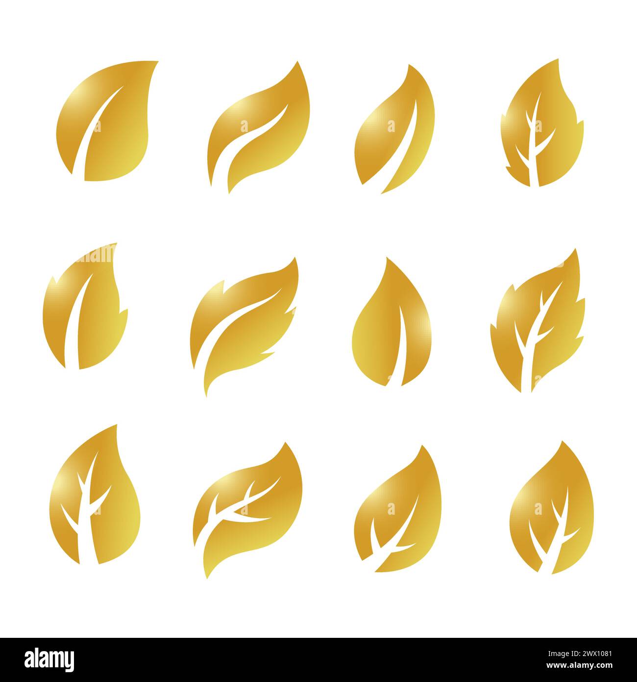 Artistic Collection of Gold Leaves Set, Vector Illustration Stock ...