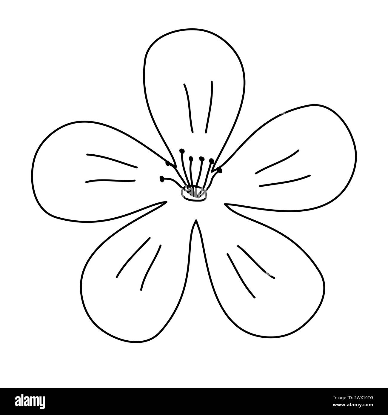 Blossom cherry or sakura flower, top view, doodle style flat vector ...