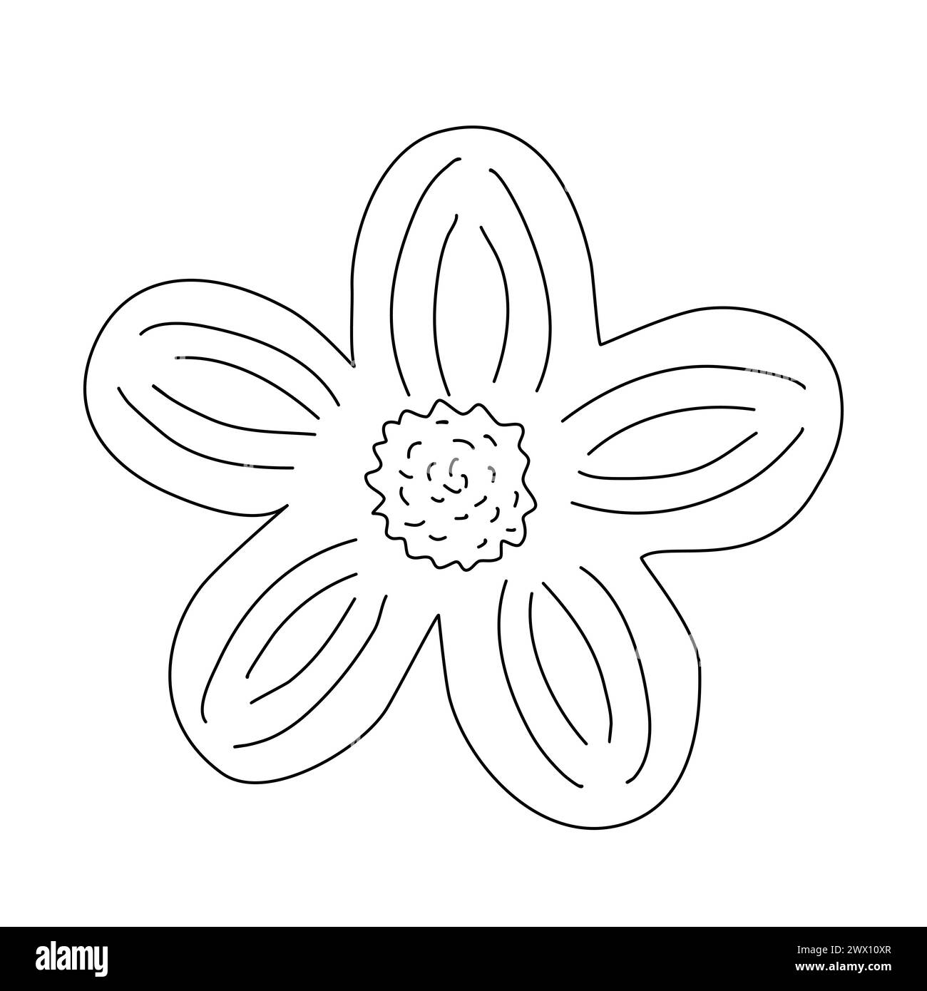 Simple flower head top view, doodle style flat vector outline ...