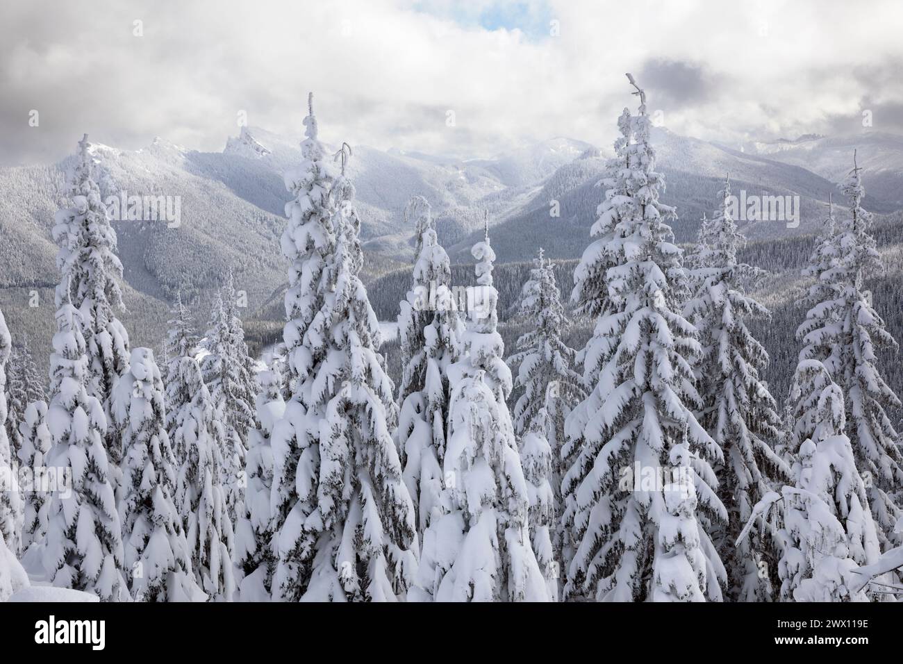 Tahoma huts hi-res stock photography and images - Alamy