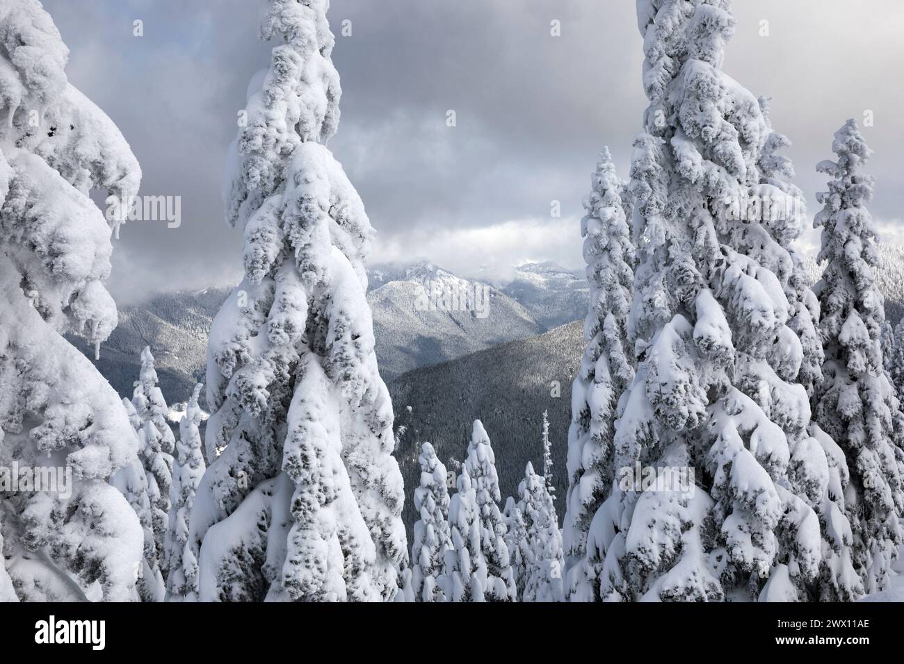 Tahoma huts hi-res stock photography and images - Alamy