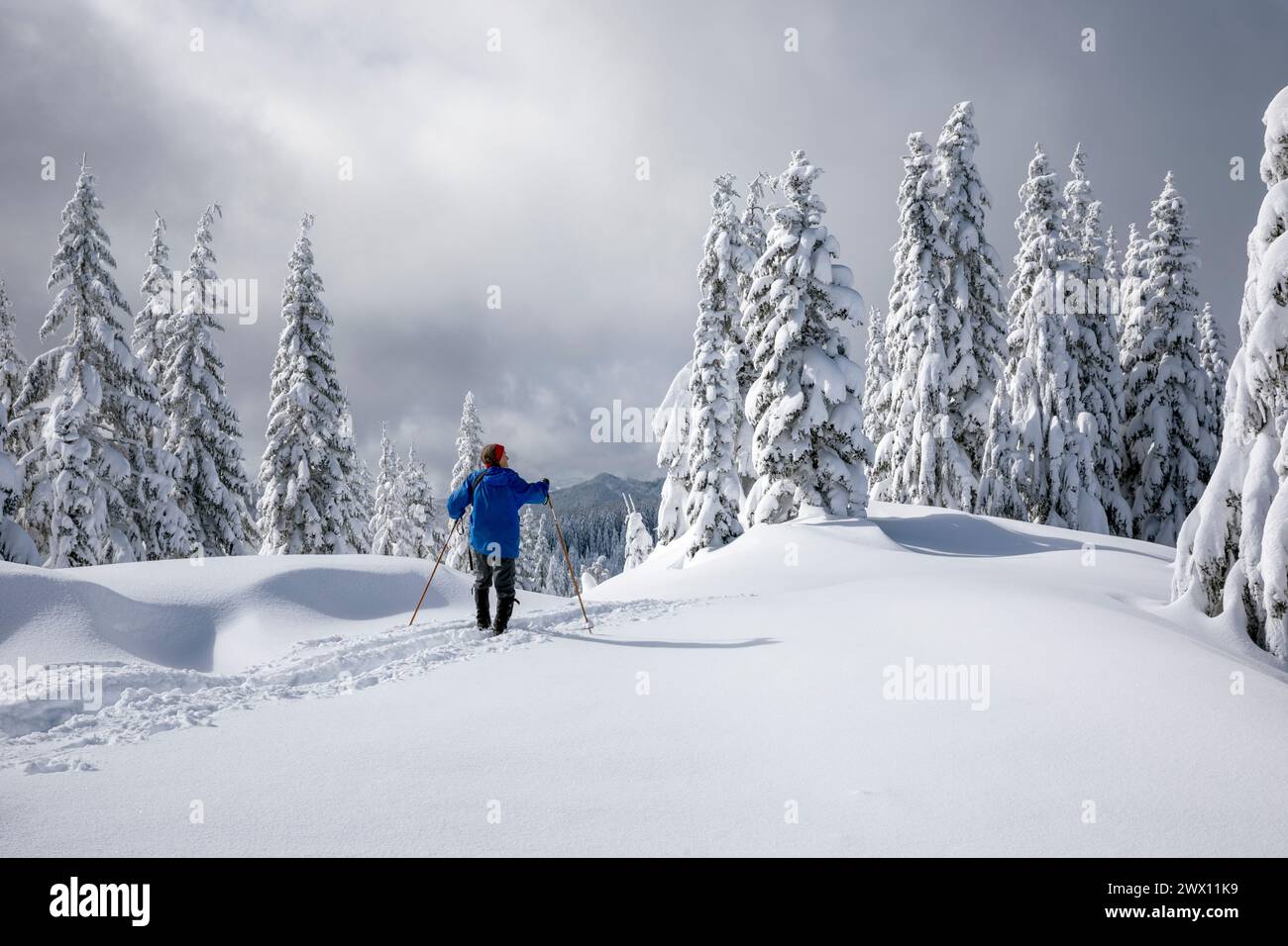 Mount tahoma huts hi-res stock photography and images - Alamy