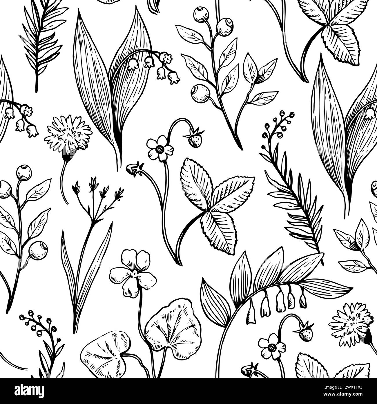 Seamless pattern whit line botanical elements. Outline vector contour ...
