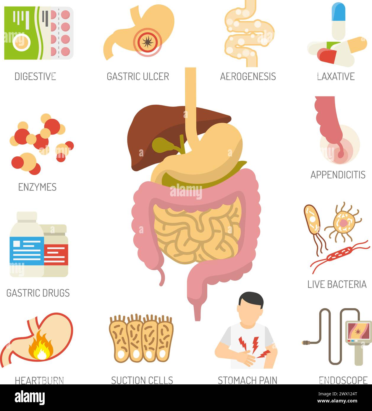 Digestive system icons set with health problems symbols flat isolated ...