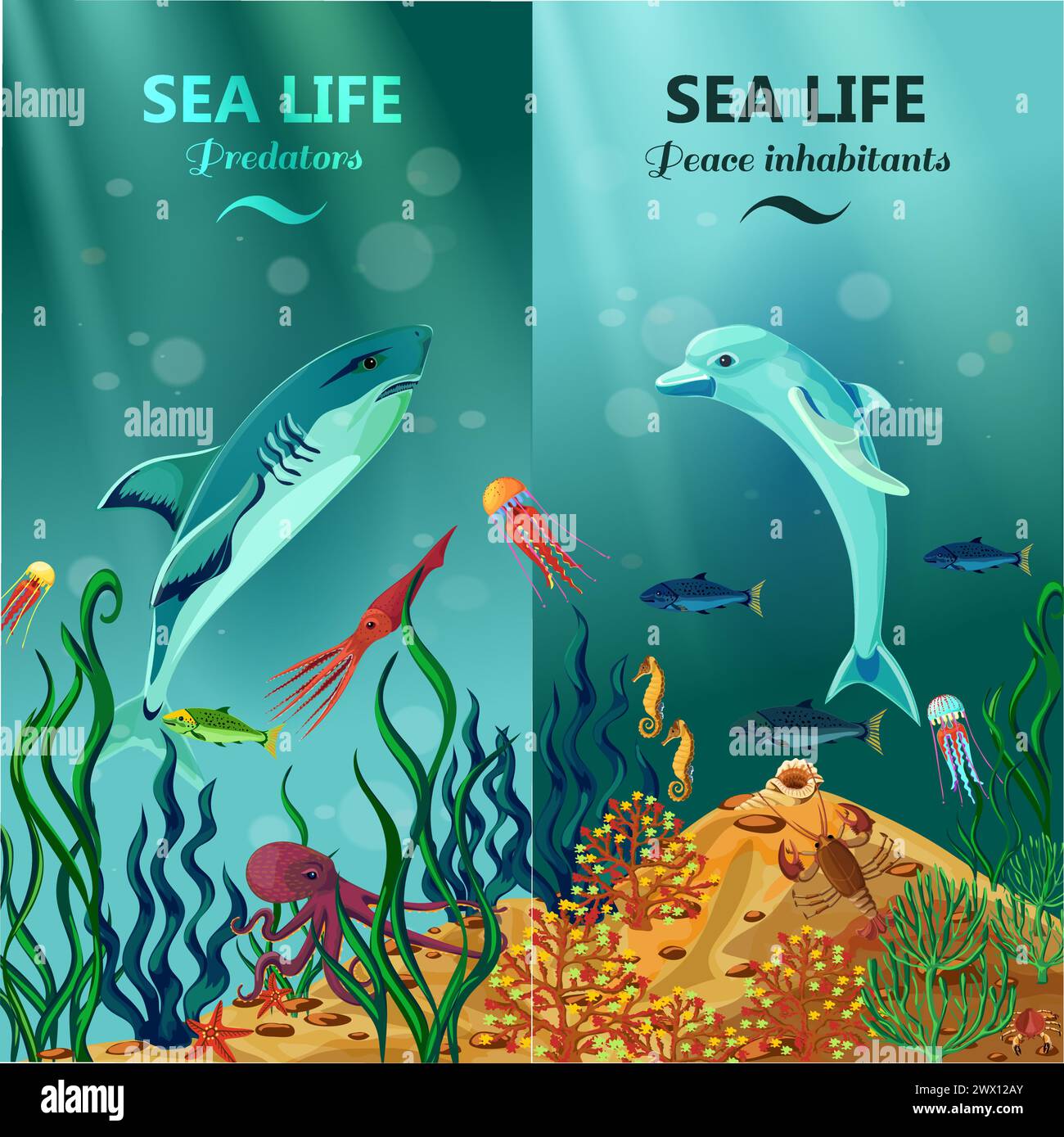 Colorful vertical sea life banners with peace and predator inhabitants ...