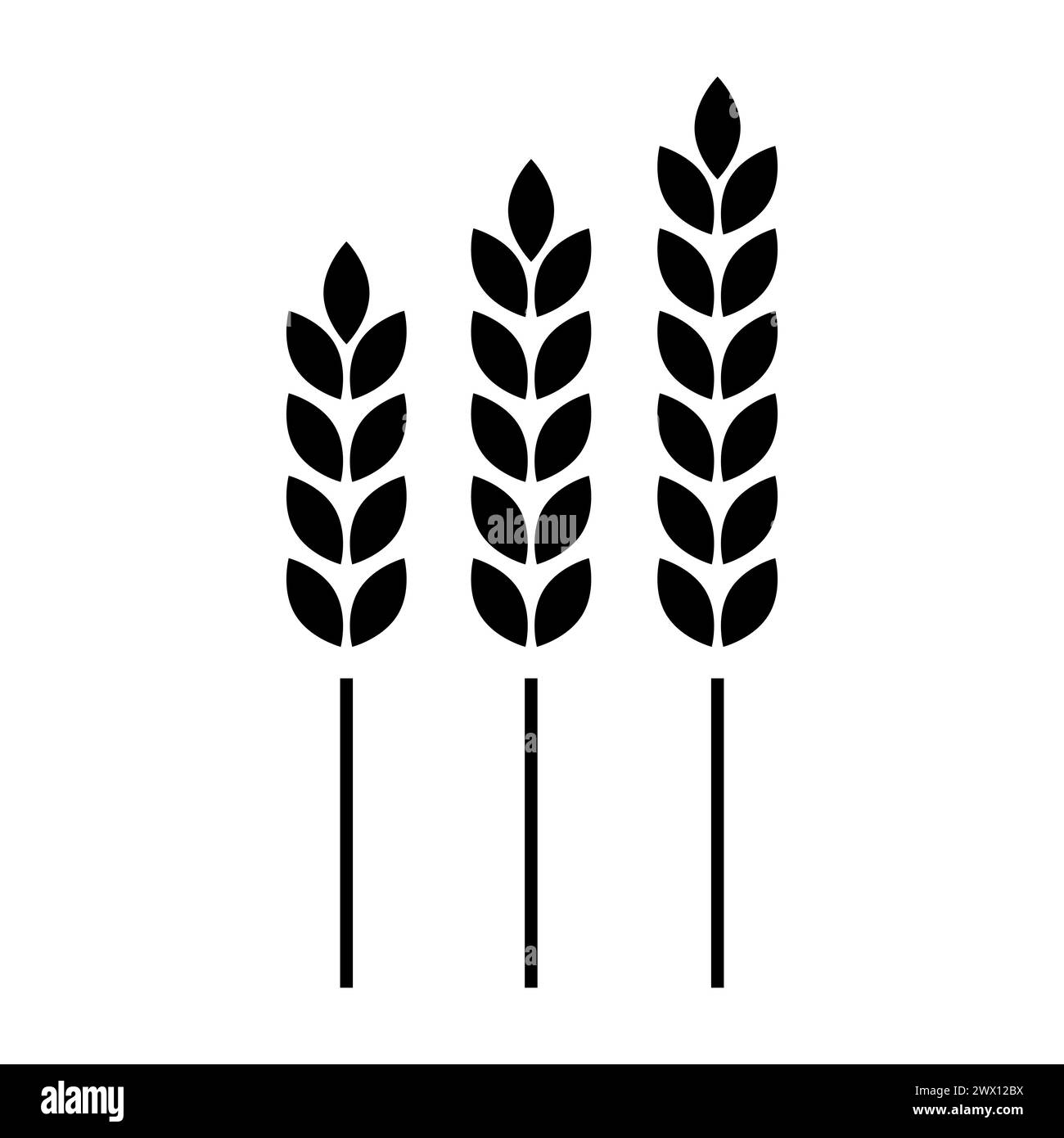 Wheat Ears Icon Set. Grain Symbol. Cereal Crop Illustration ...