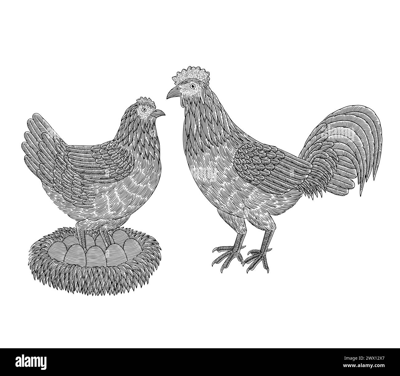 Chicken rooster, hen and egg on the straw, vintage engraving drawing ...