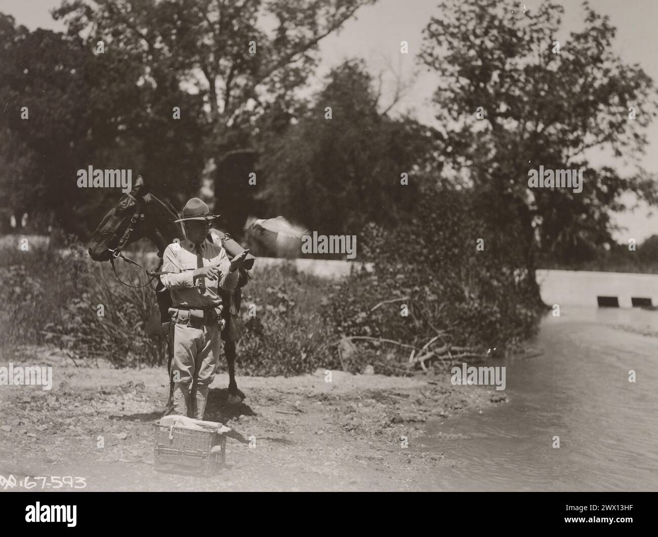 Soldier releasing a carrier pigeon hi-res stock photography and images - Alamy