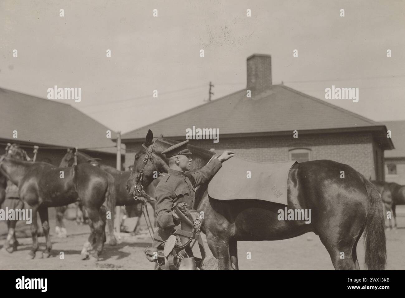Soldier saddling his horse hi-res stock photography and images - Alamy