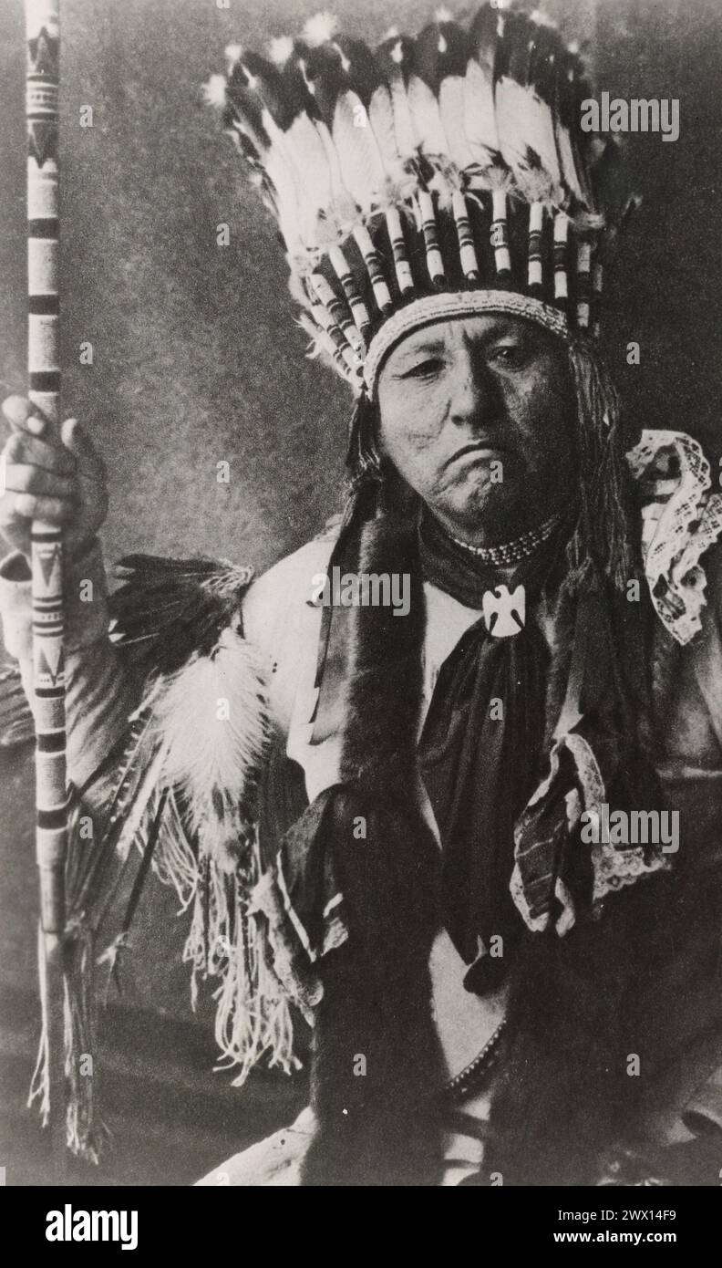 Chief hairless hi-res stock photography and images - Alamy