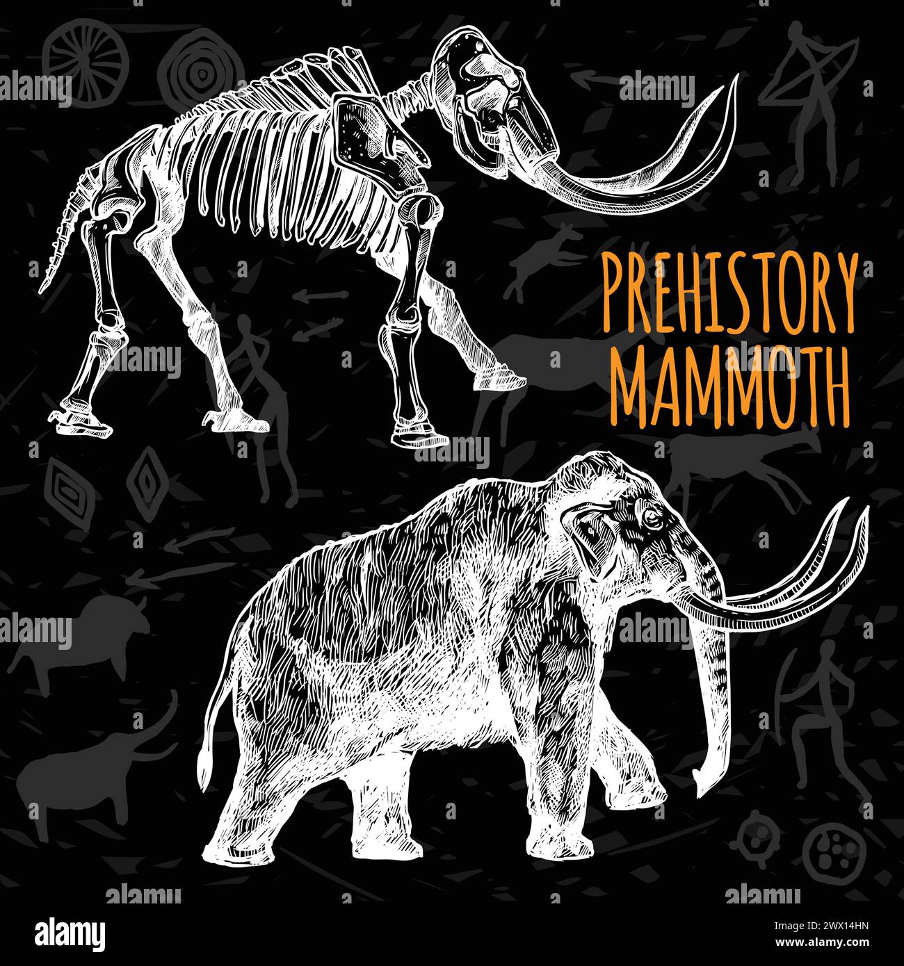Sketch hand drawn mammoth and its skeleton chalkboard on dark ...