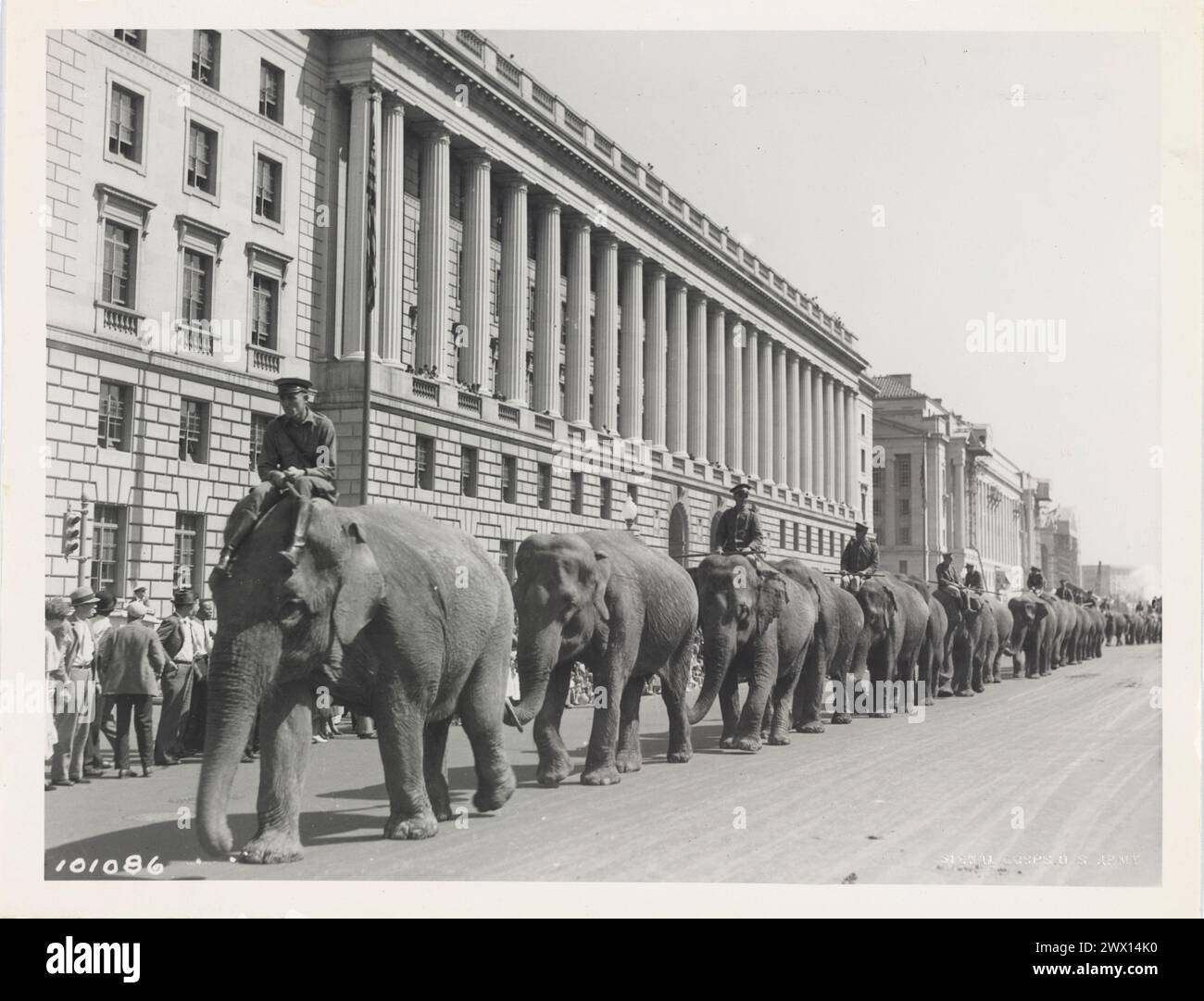 Hagenbeck wallace circus parade hi-res stock photography and images - Alamy