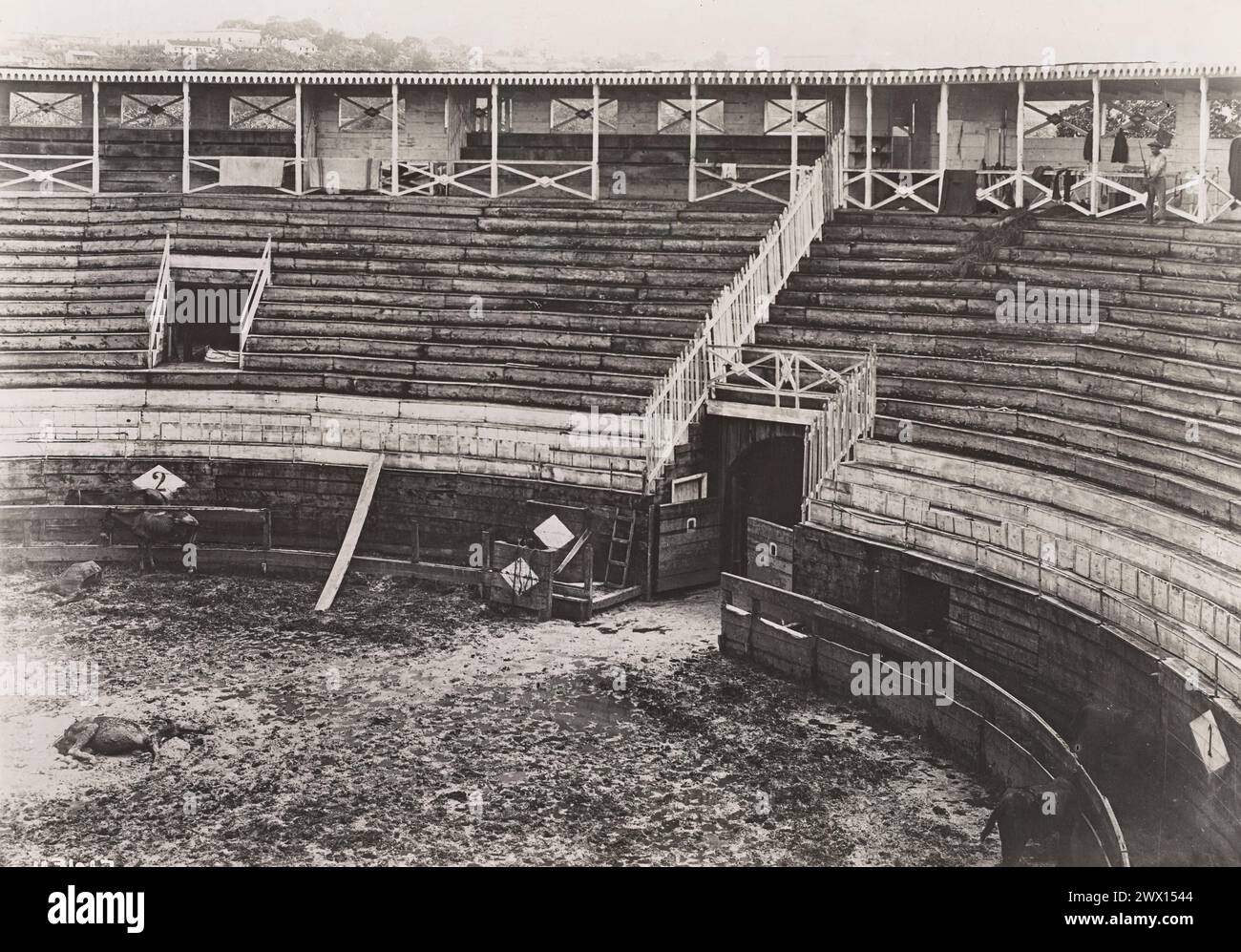 Bull fighting cuba hi-res stock photography and images - Alamy