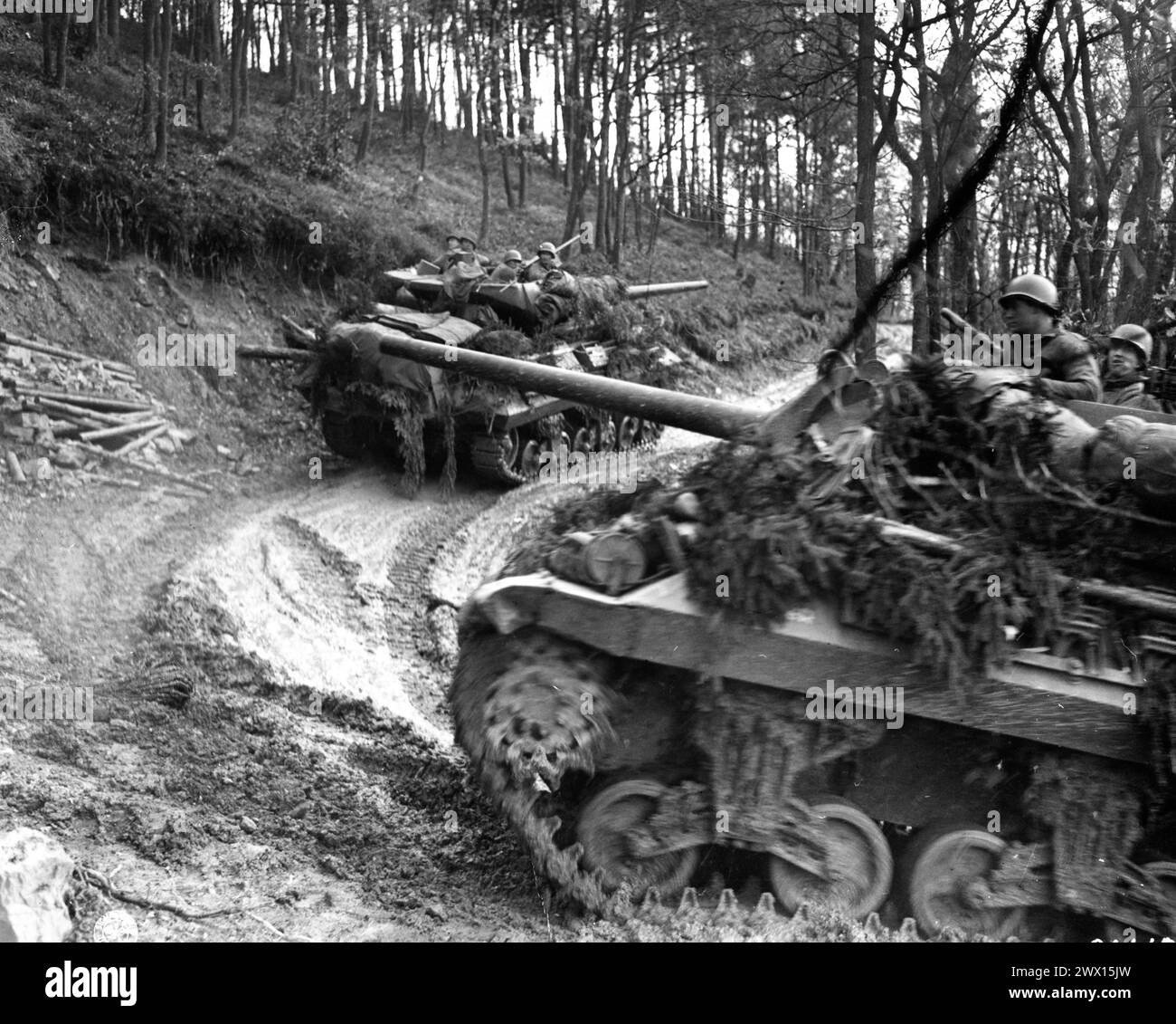 Hurtgen forest germany Black and White Stock Photos & Images - Alamy