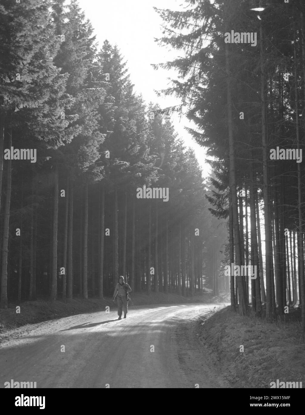 Photograph of Private First Class Margerum Walking through a Forest in ...