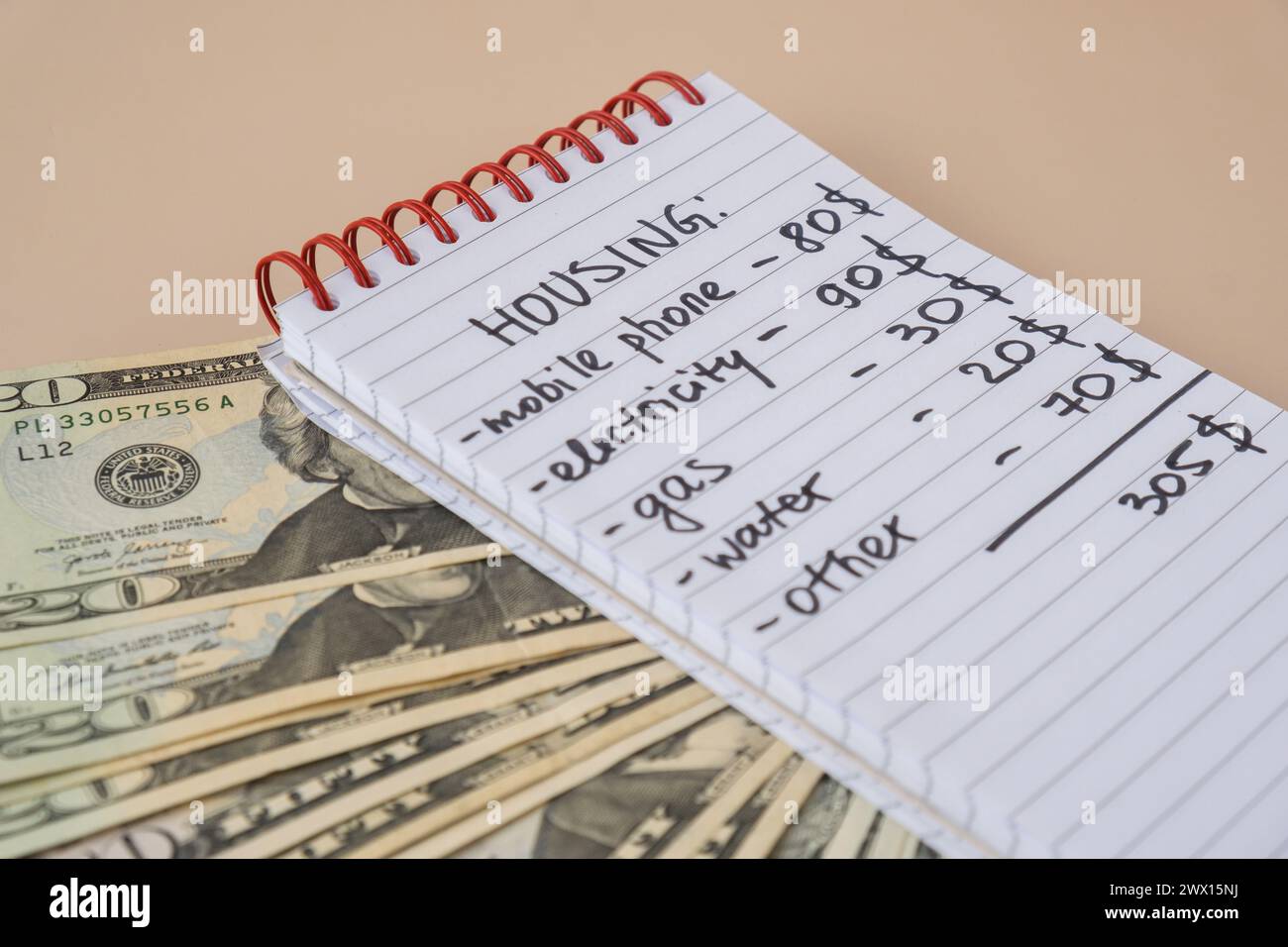 Counting expenses bills on housing electricity, gas, water. Banknotes ...