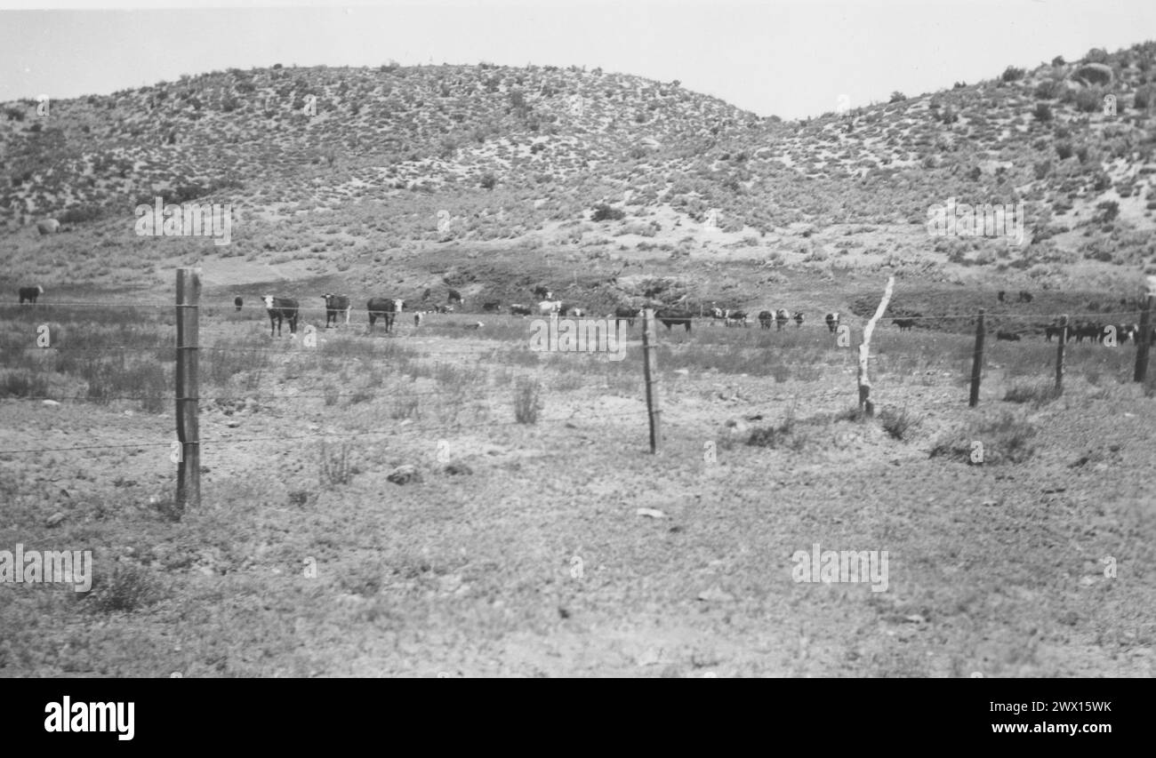 Cahuilla band of indians hi-res stock photography and images - Alamy